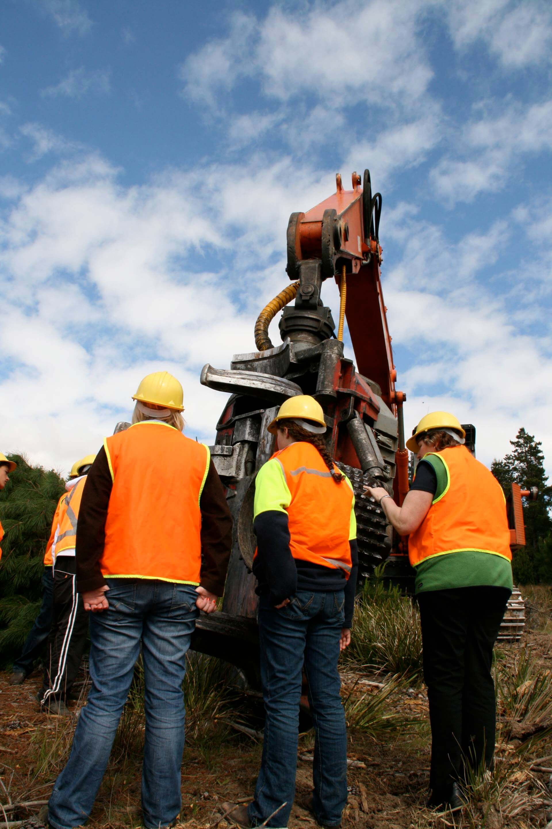 Exploring Career Pathways | Forest Education Foundation Exploring Career Pathways | Forest Education Foundation