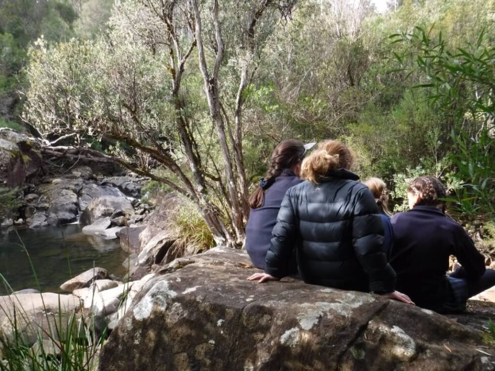 Our Programs | Forest Education Foundation