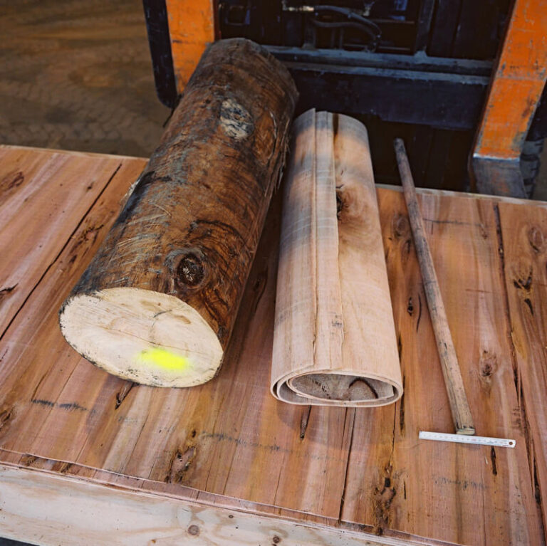 How do we use wood? | Forest Education Foundation