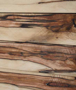 How do we use wood? | Forest Education Foundation