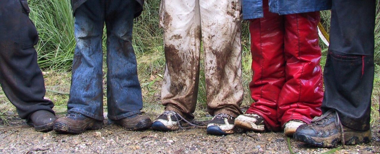 Grant Opportunities | Forest Education Foundation