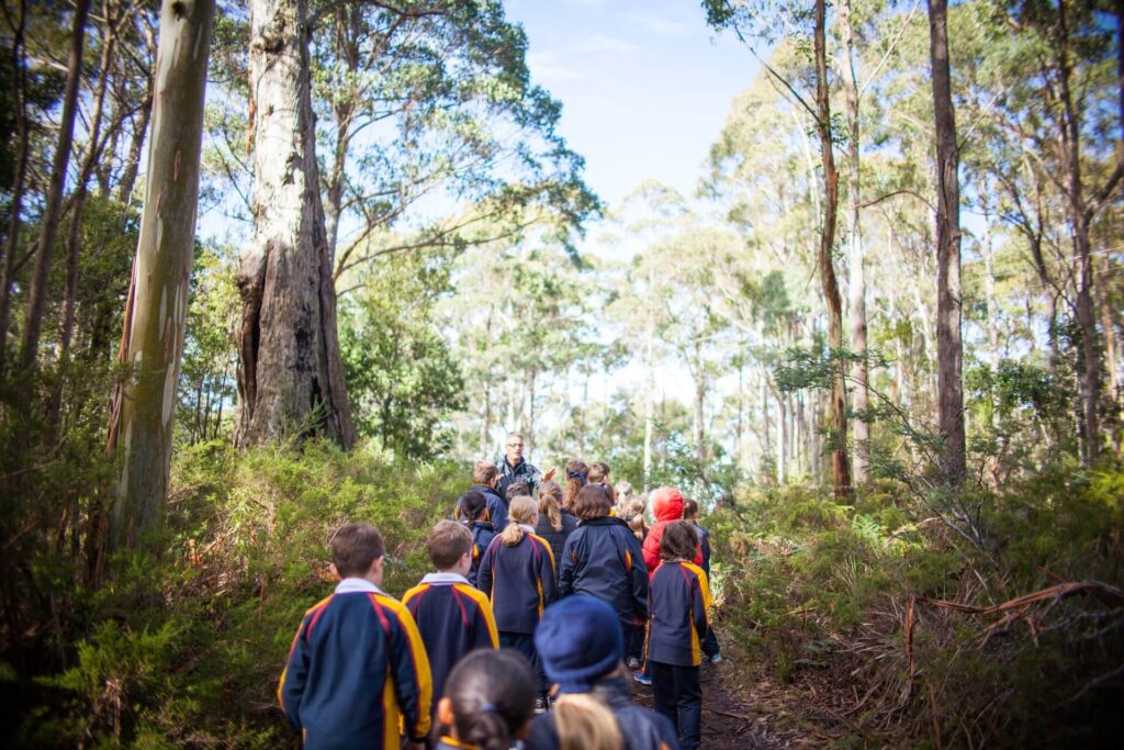 Our Programs | Forest Education Foundation
