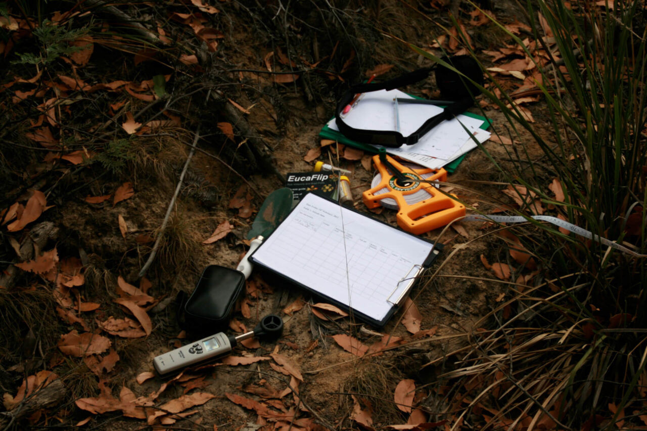 College Programs | Forest Education Foundation