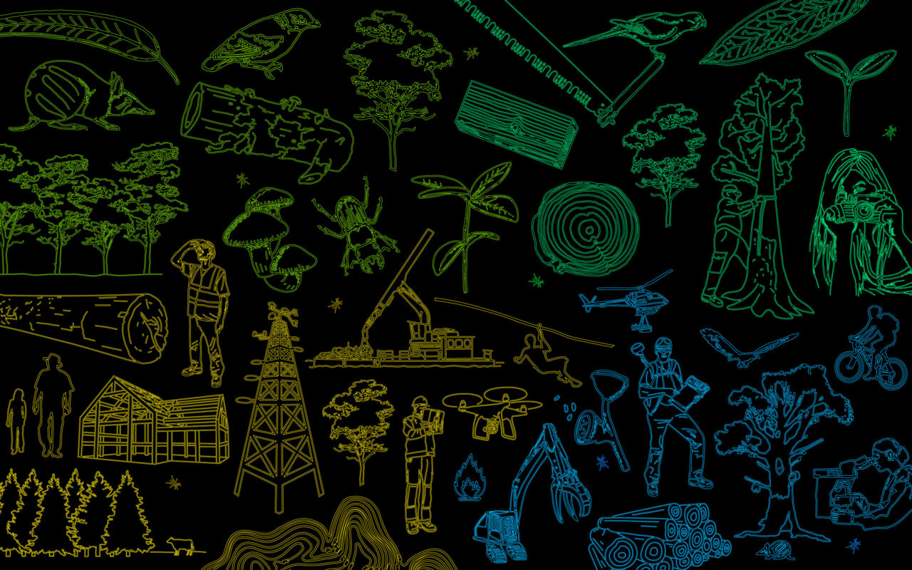 Interactive Content – Primary Access | Forest Education Foundation