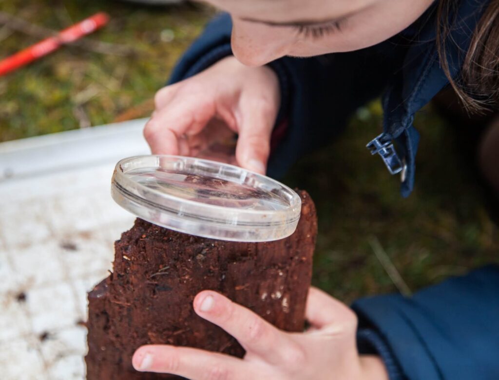 Years 3/4 Program and Resources | Forest Education Foundation