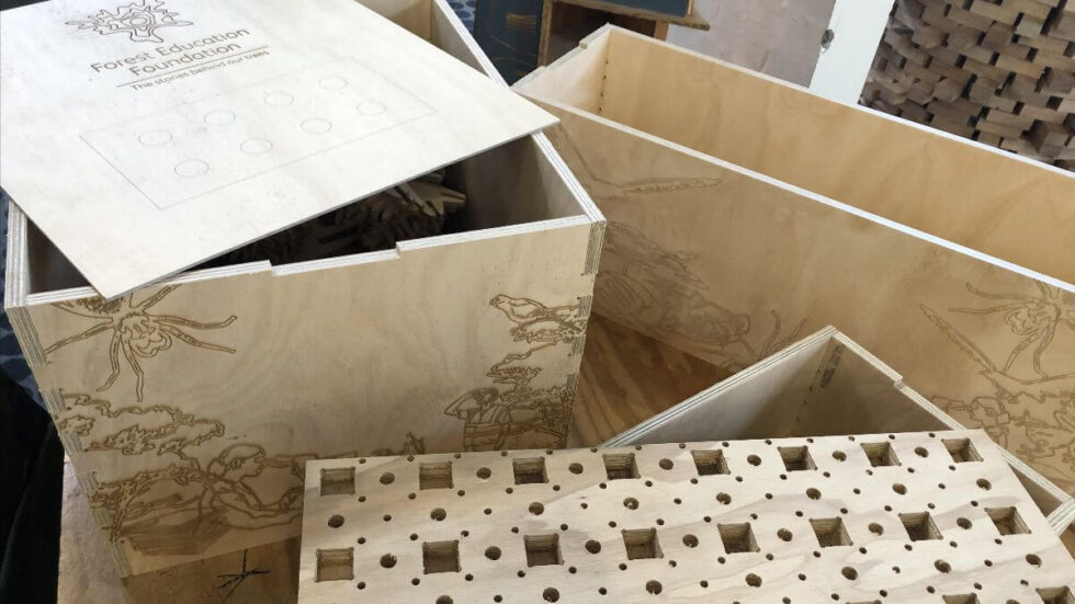 Forest Focus – March | Forest Education Foundation