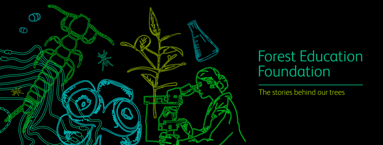 Forest Focus – March | Forest Education Foundation