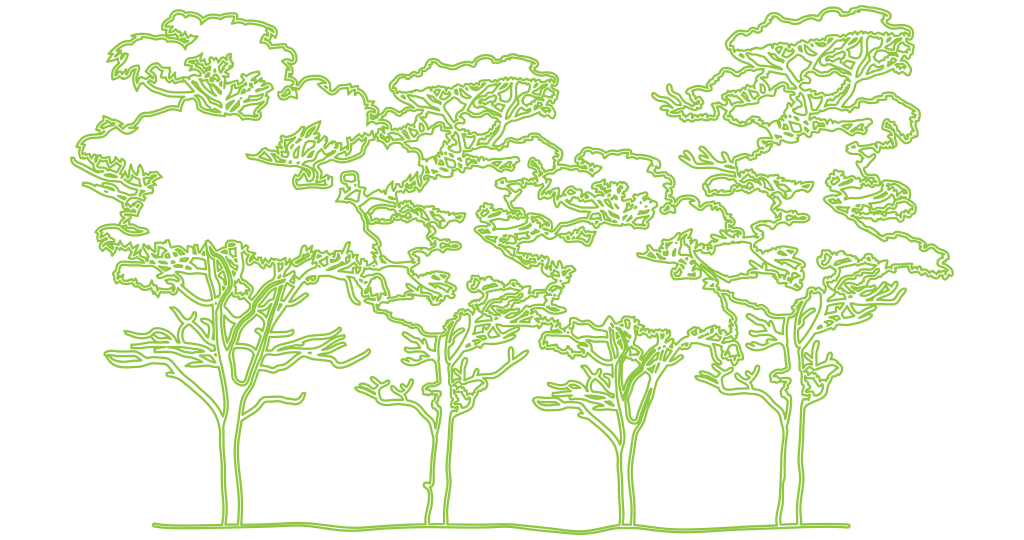 Trees on Farms Primary Programs | Forest Education Foundation