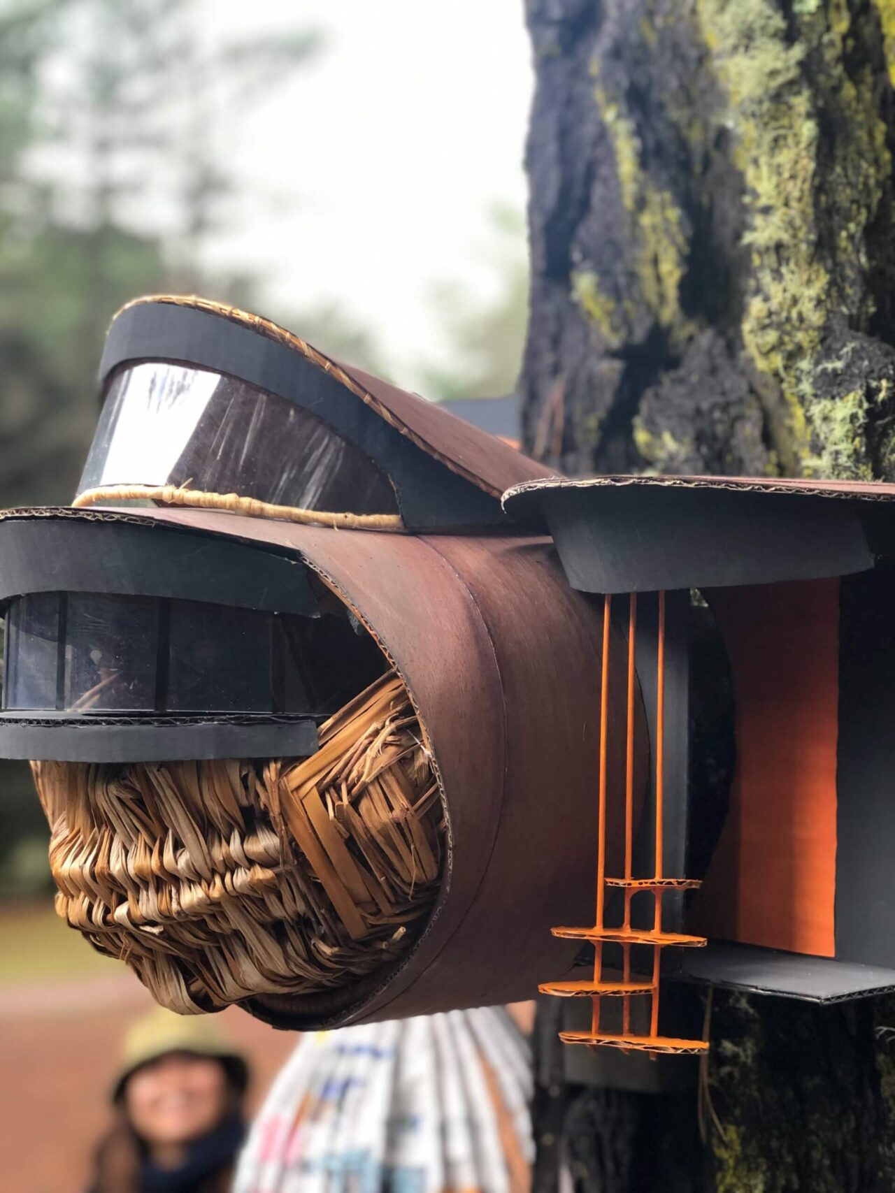 Design Thinking in the Forest | Forest Education Foundation