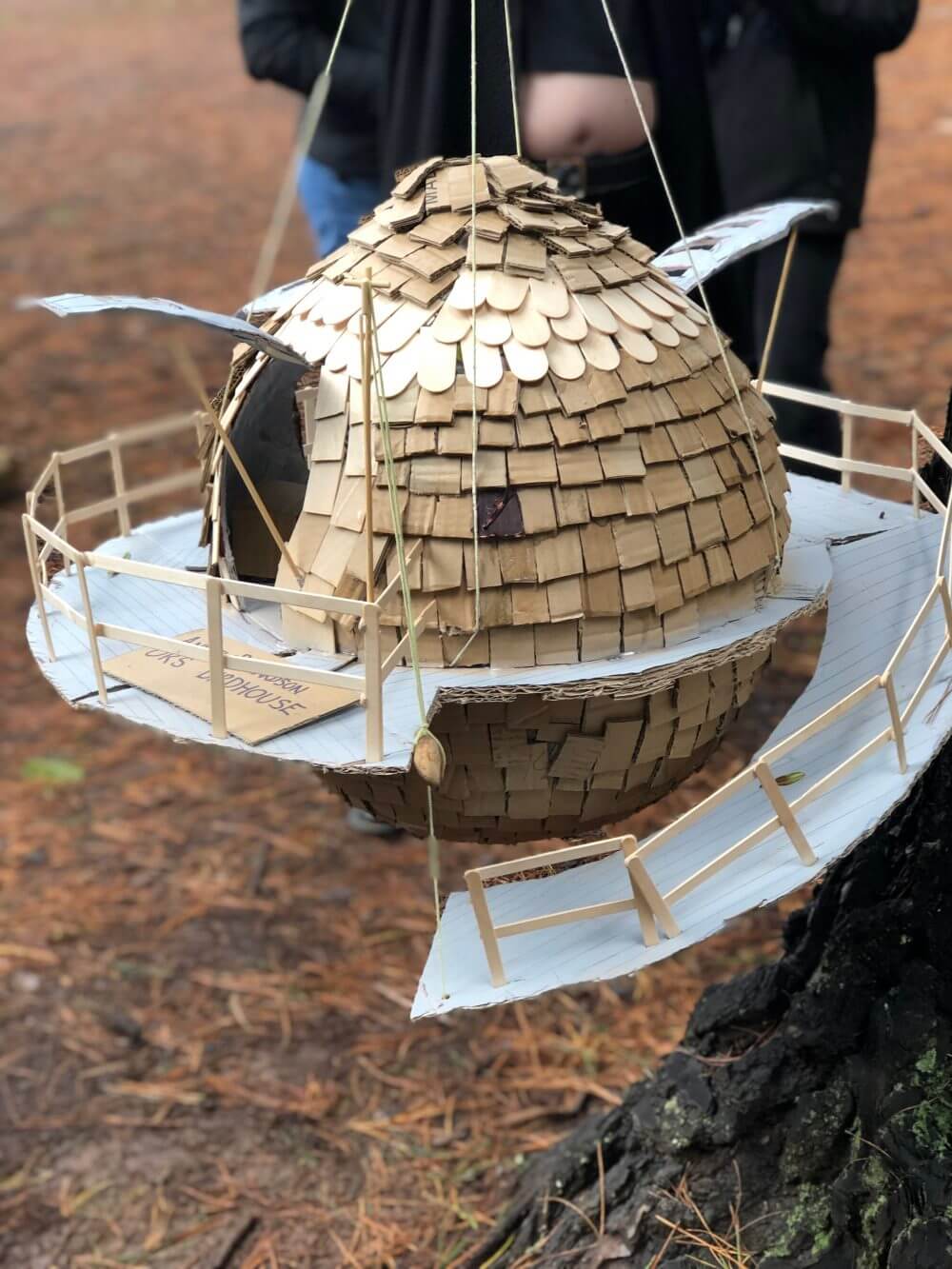 Design Thinking in the Forest | Forest Education Foundation