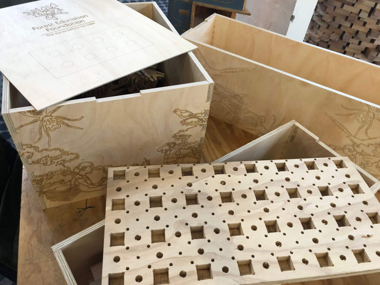 Forest in a Box – Loan Packages | Forest Education Foundation