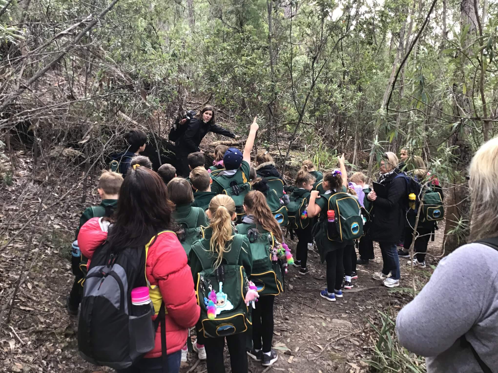 Primary Programs | Forest Education Foundation