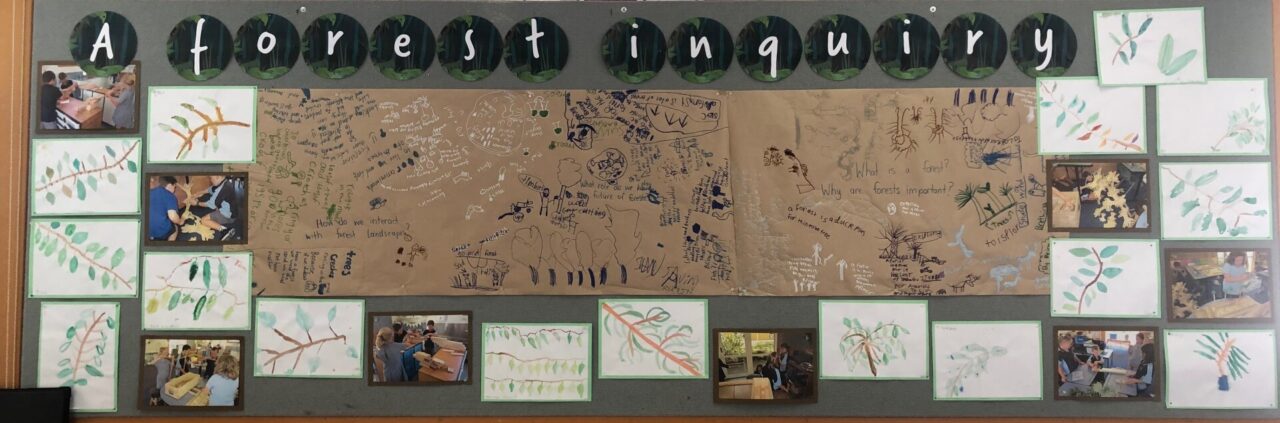 Hagley – Forest Inquiry | Forest Education Foundation