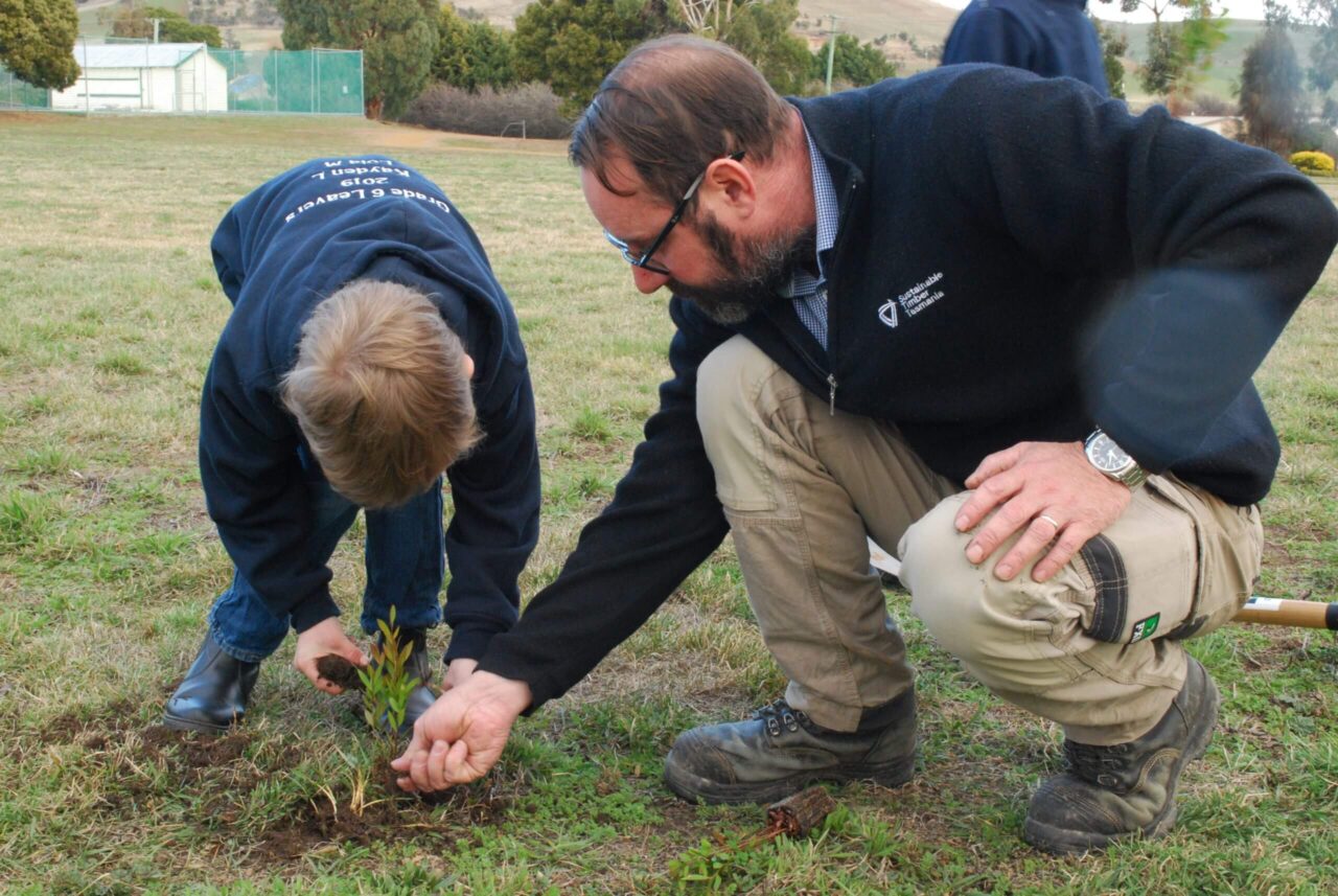 Schools Tree Day | Forest Education Foundation