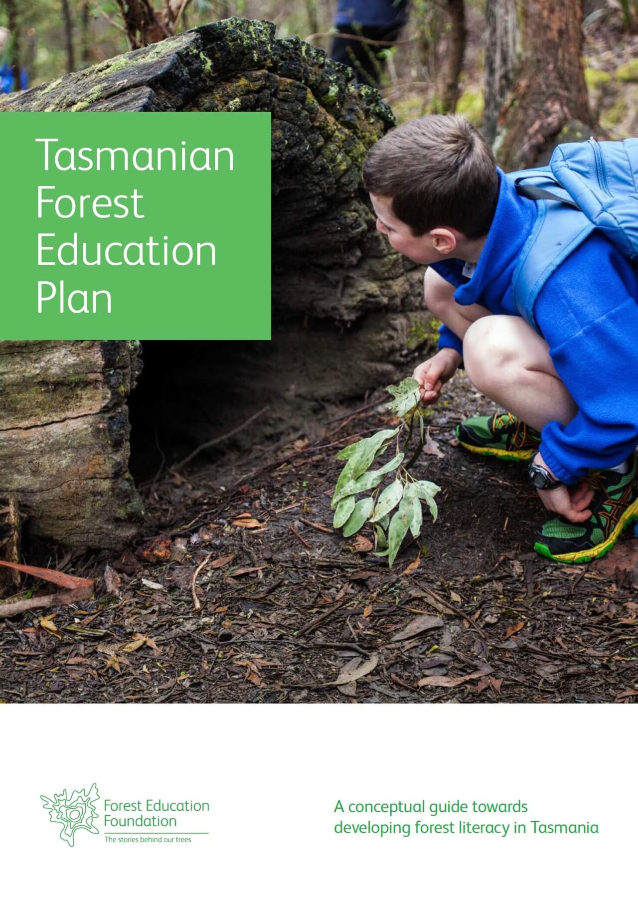 About the FEF | Forest Education Foundation