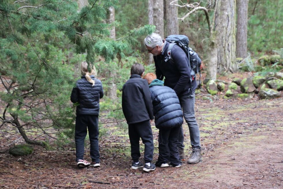 Excursion Preparation | Forest Education Foundation