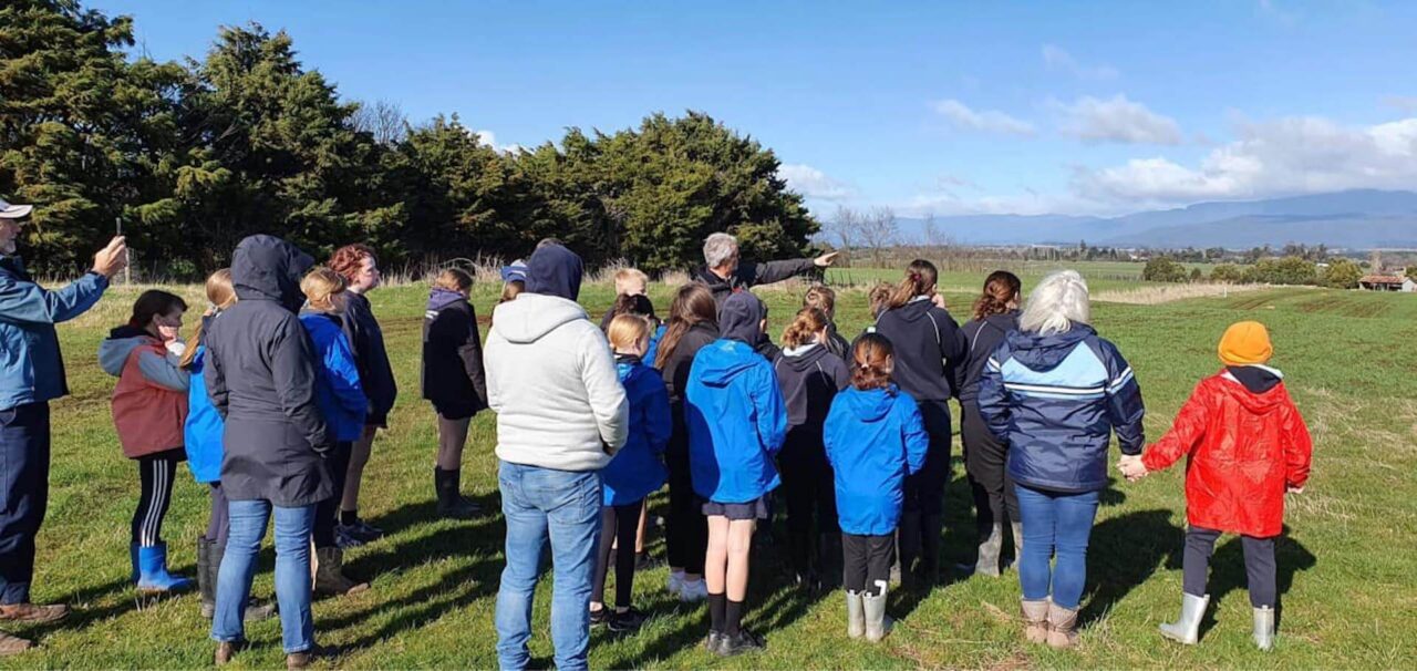 Schools Tree Day Celebrations – July 2022 | Forest Education Foundation
