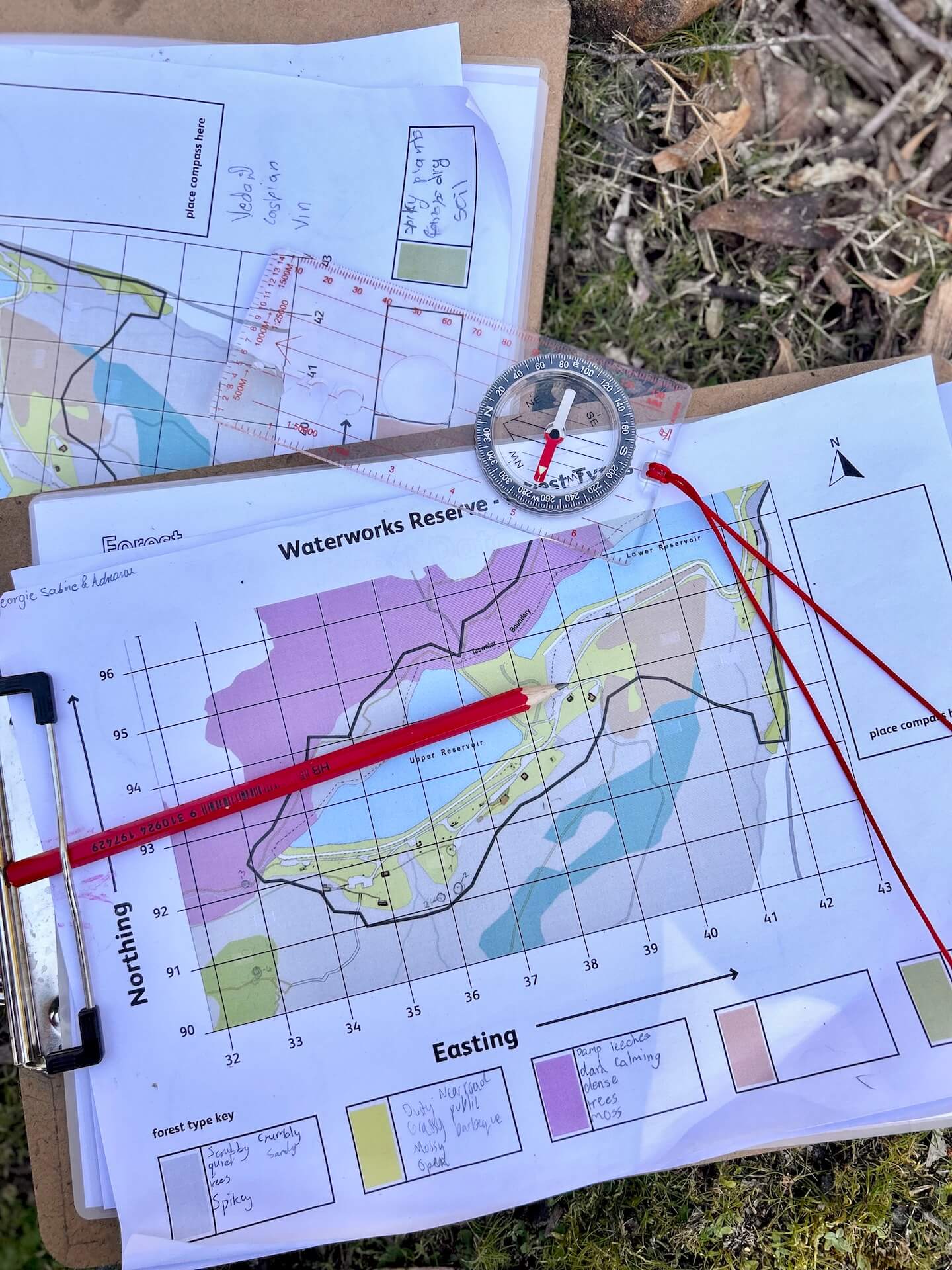 Forest Education Foundation | The stories behind our trees