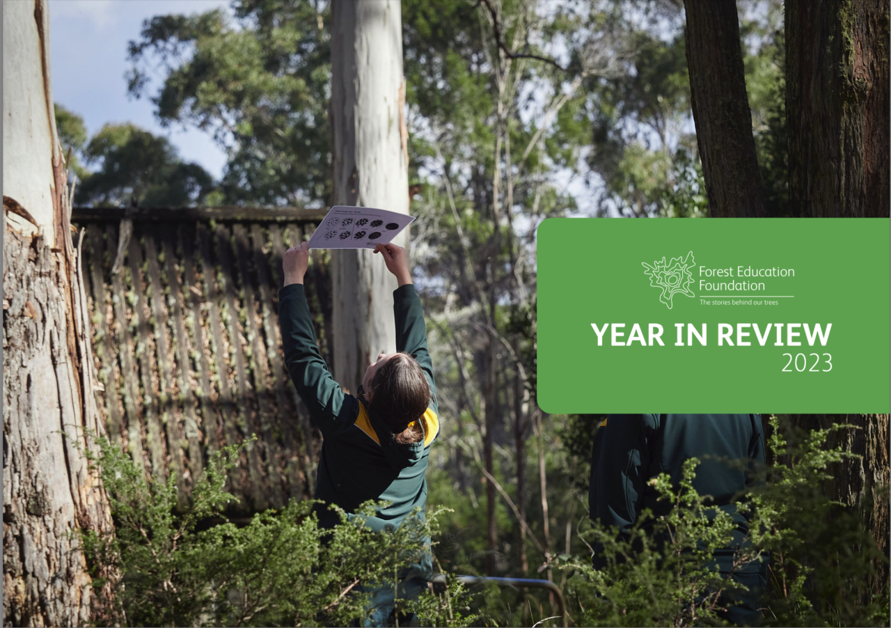 Year in Review – 2023 | Forest Education Foundation