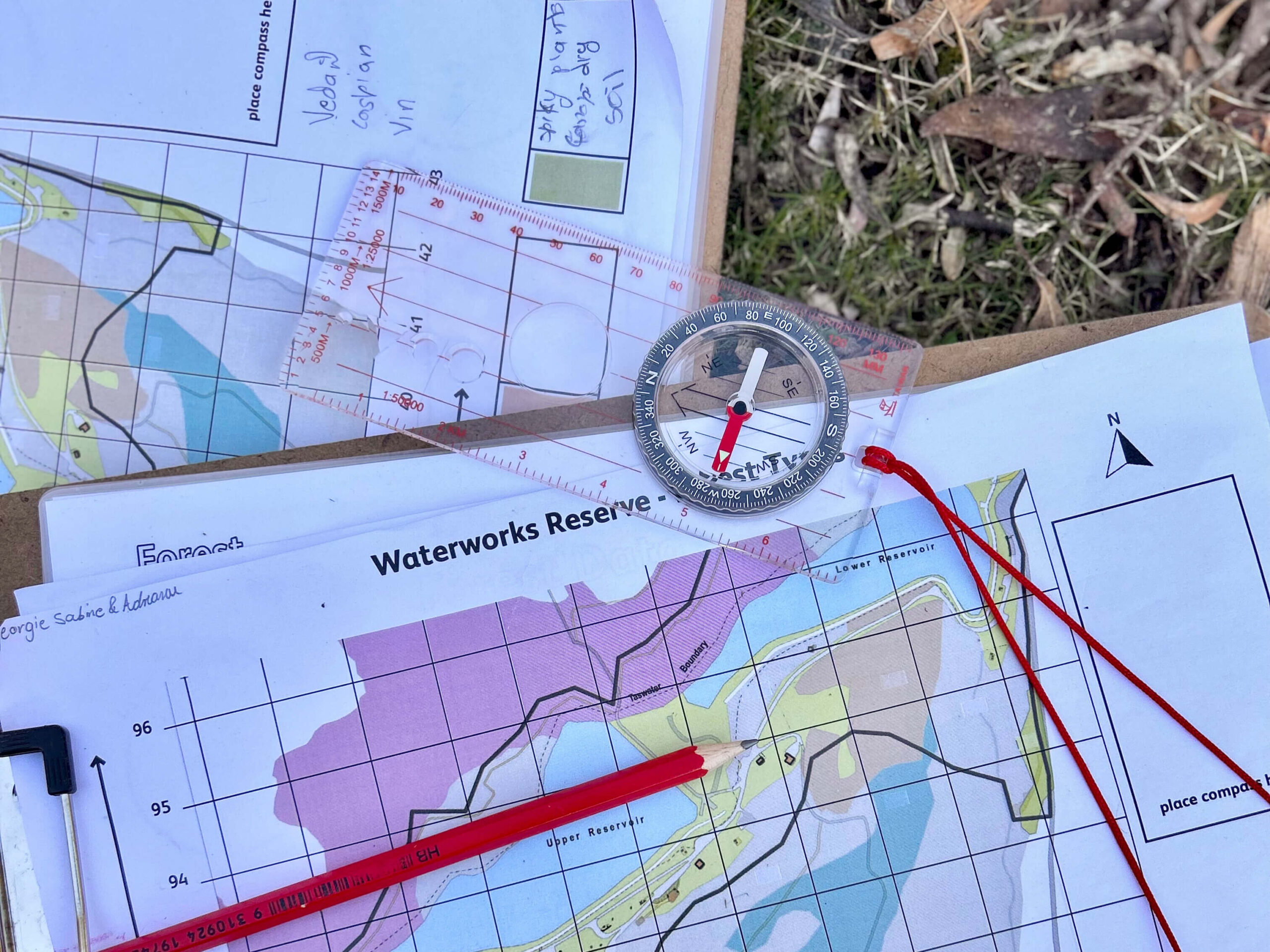 Primary Programs | Forest Education Foundation