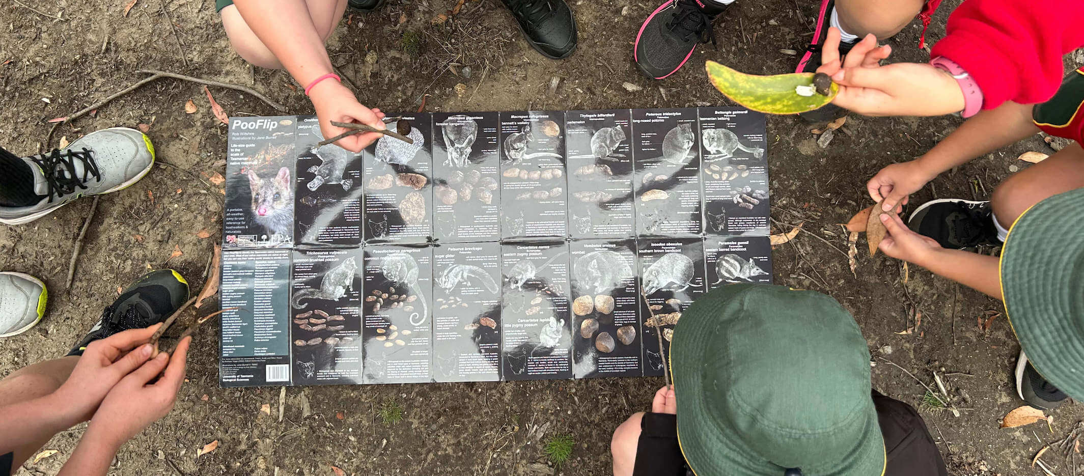 Years 3/4 Program and Resources | Forest Education Foundation