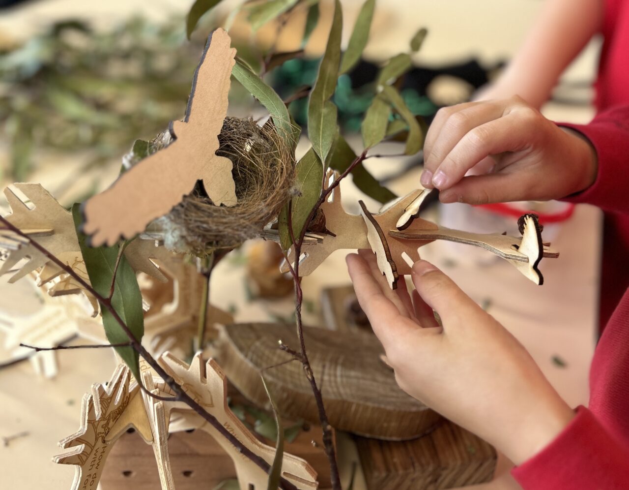 Primary Programs | Forest Education Foundation