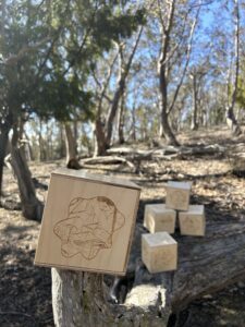 Forest in a Box – Inquiry Cubes | Forest Education Foundation